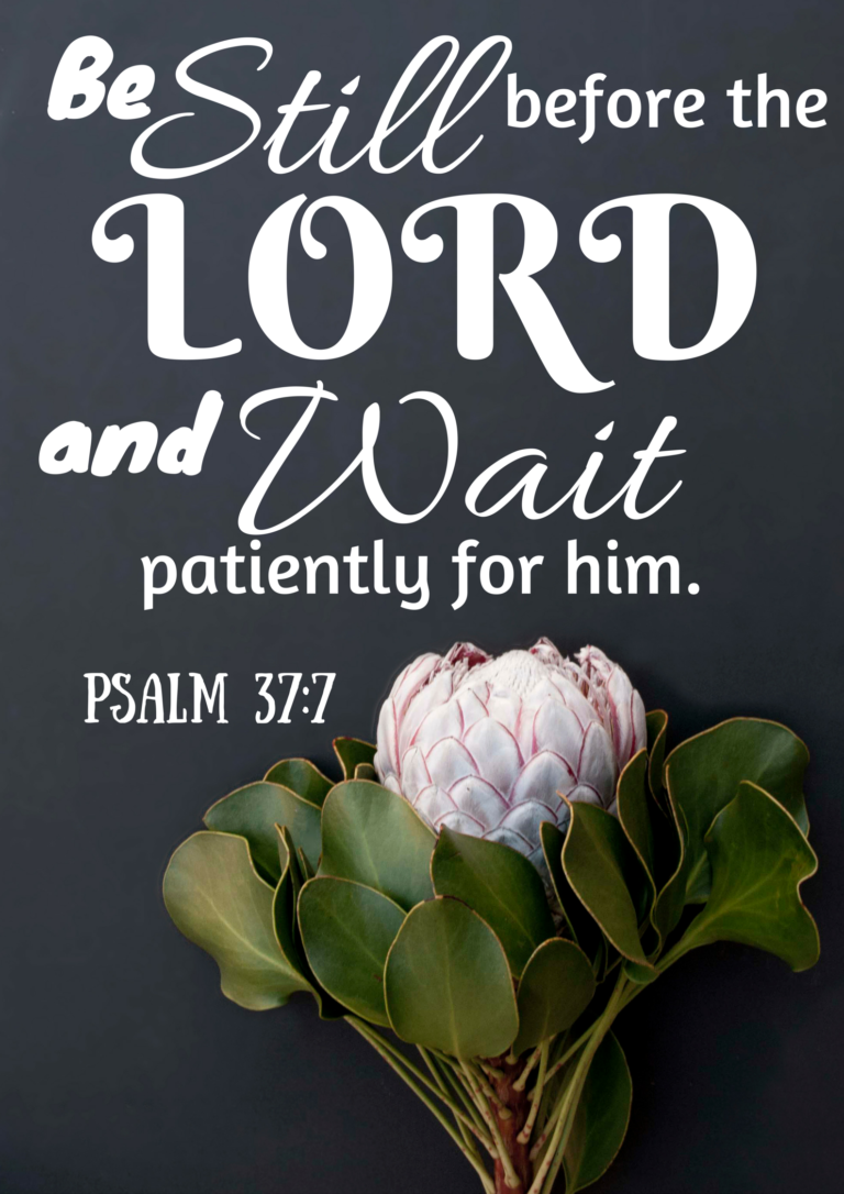 Psalm 37_7 - Be Still and Wait - Sarah E. Frazer