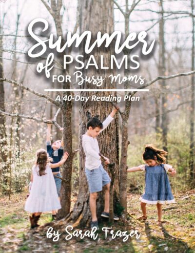 The Busy Mom's Guide to a Summer with God - Sarah E. Frazer