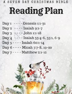 A Seven Day Christmas Bible Reading Plan - Sarah E. Frazer