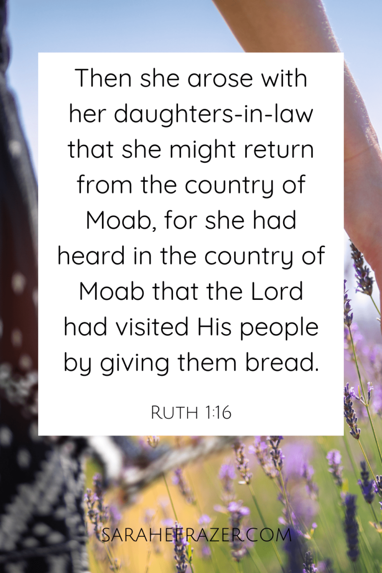 Let’s Read the Bible: Ruth - Sarah E. Frazer
