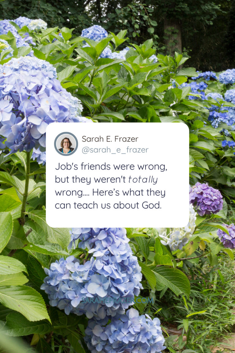 What Job’s Friends Got Right - Sarah E. Frazer